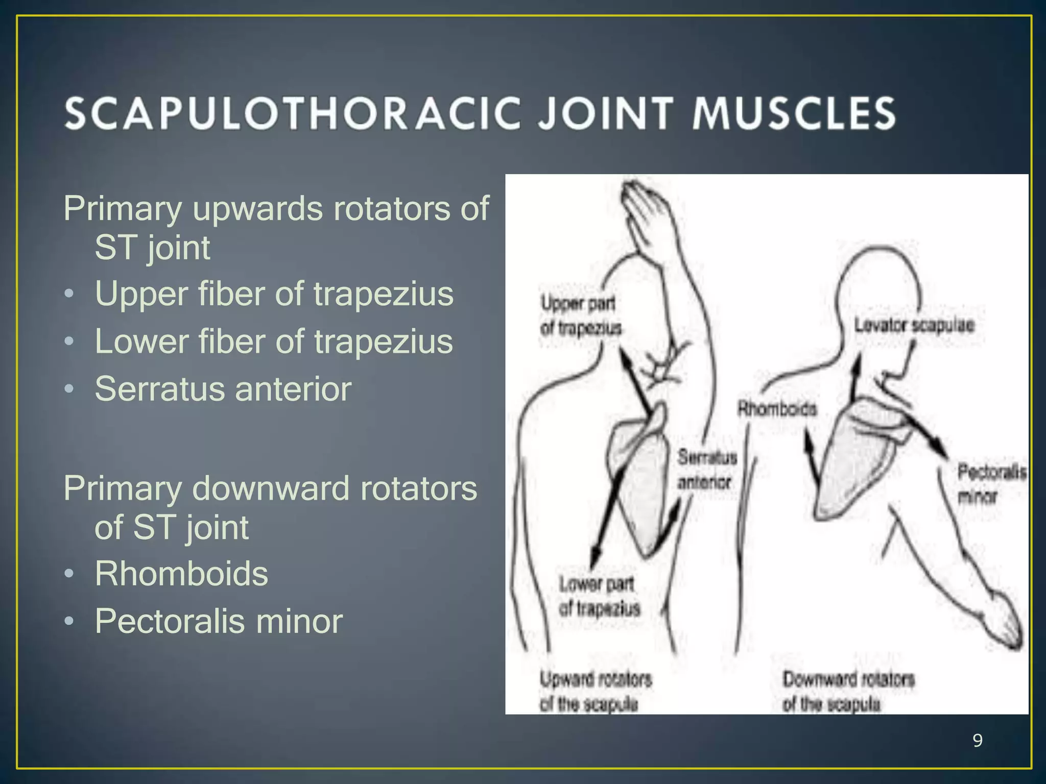 clinicalexaminationofshoulder.pptx
