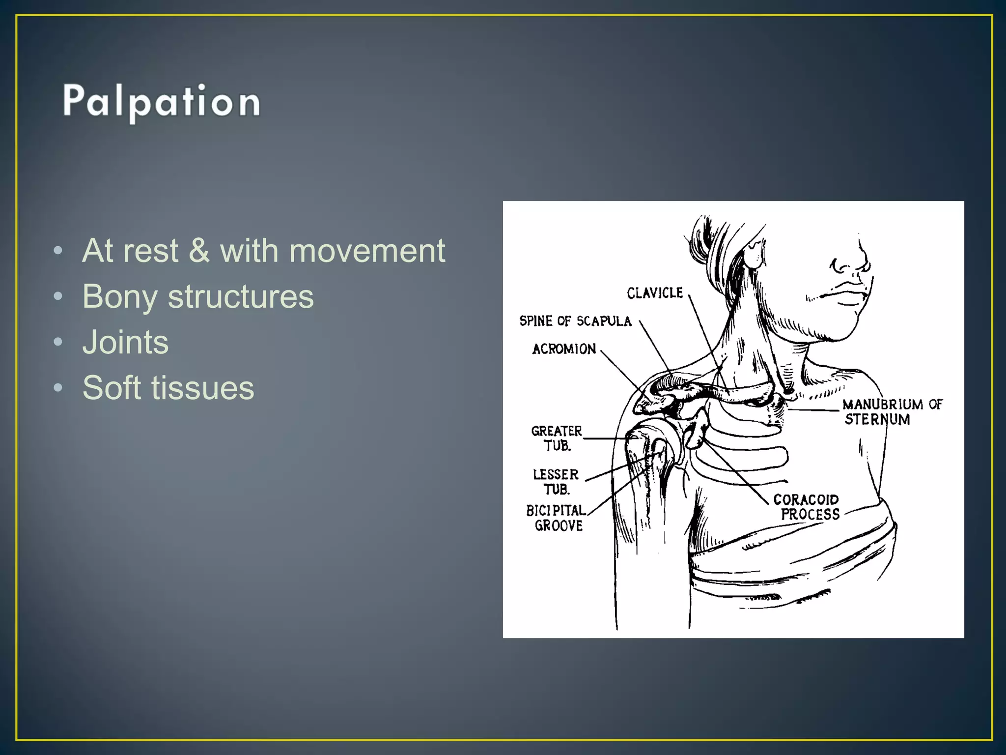 Clinical Examination Of Shoulder | PPT