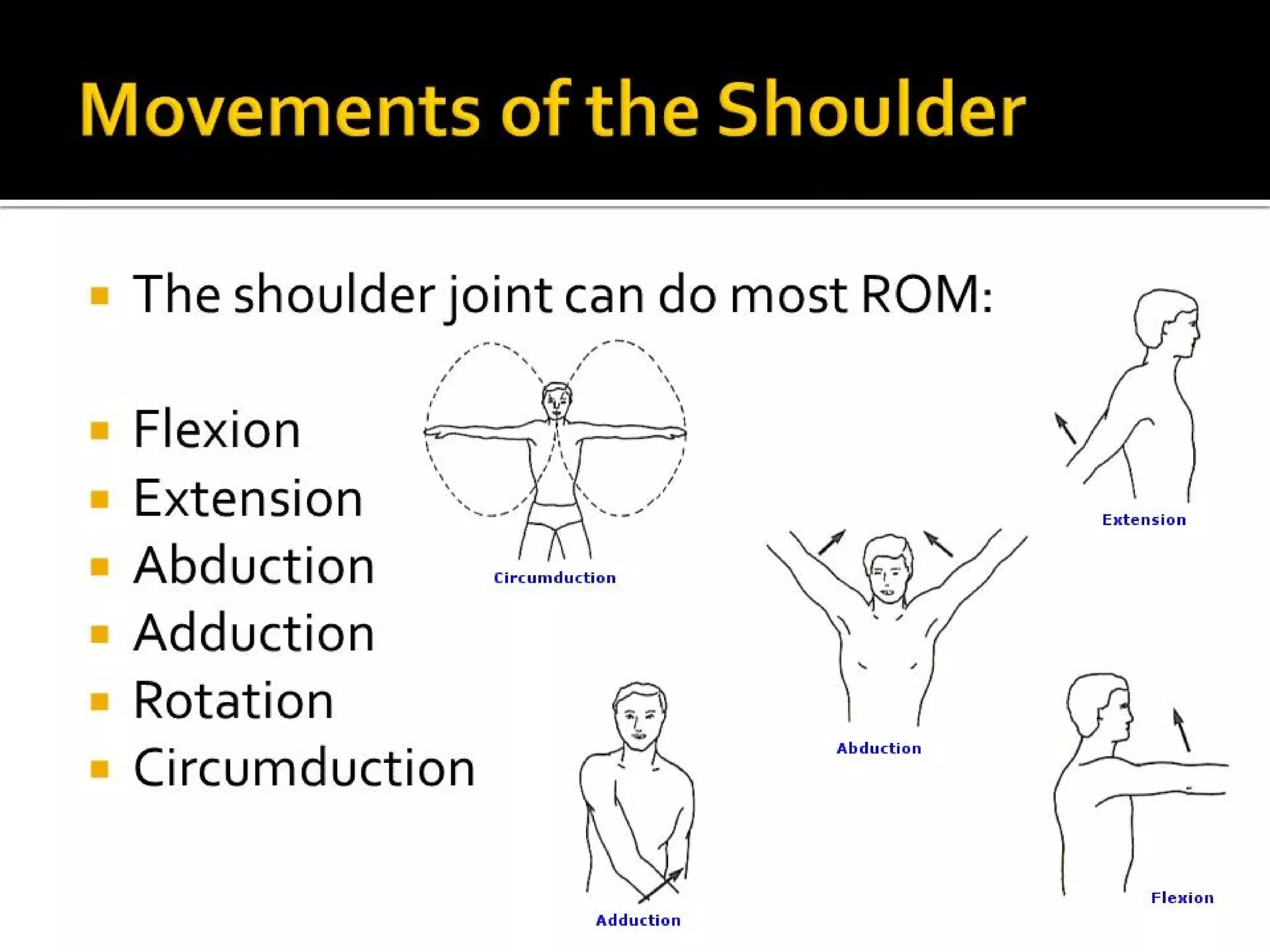 Clinical Examination Of Shoulder | PPT