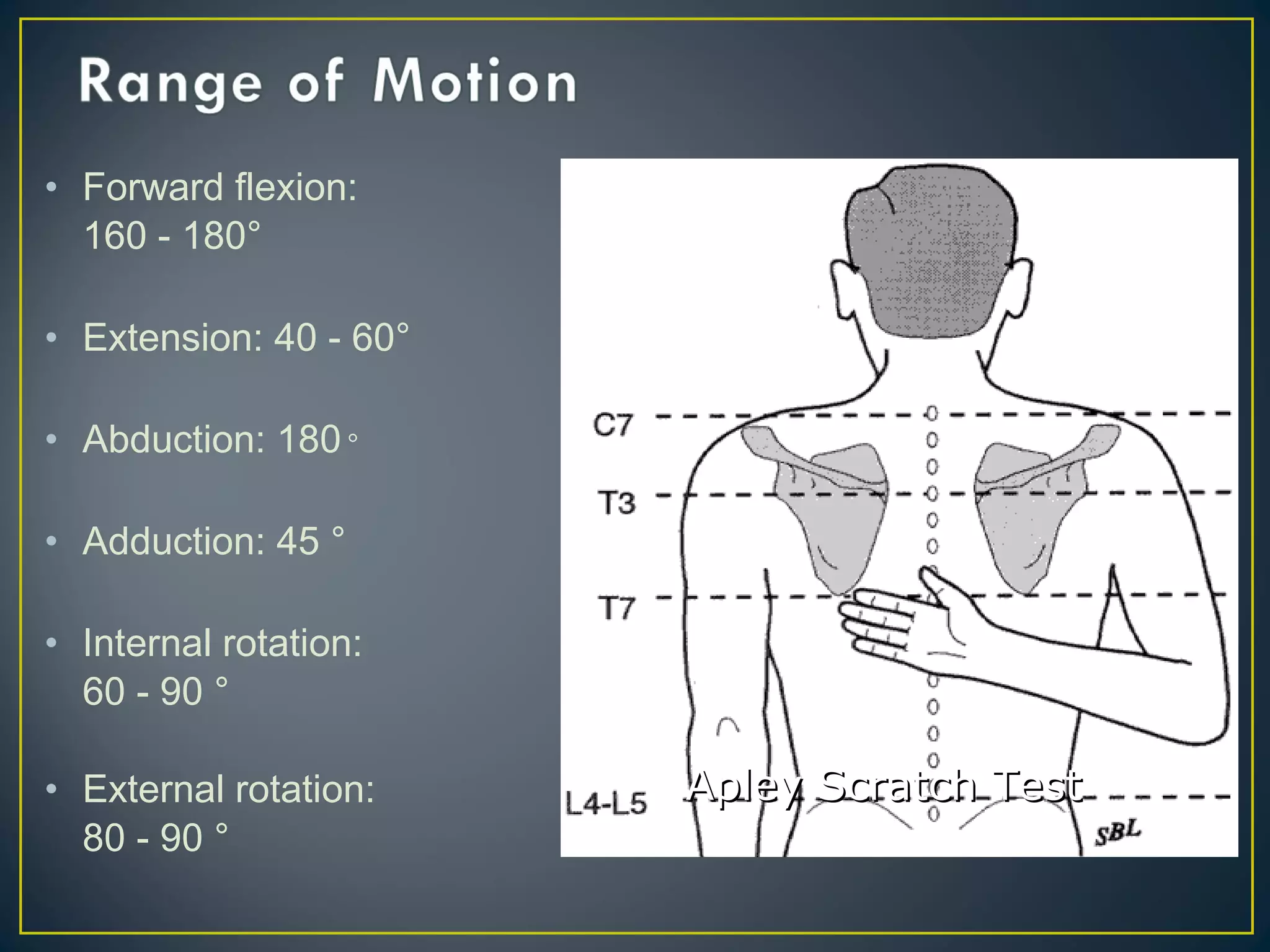 Clinical Examination Of Shoulder | PPT