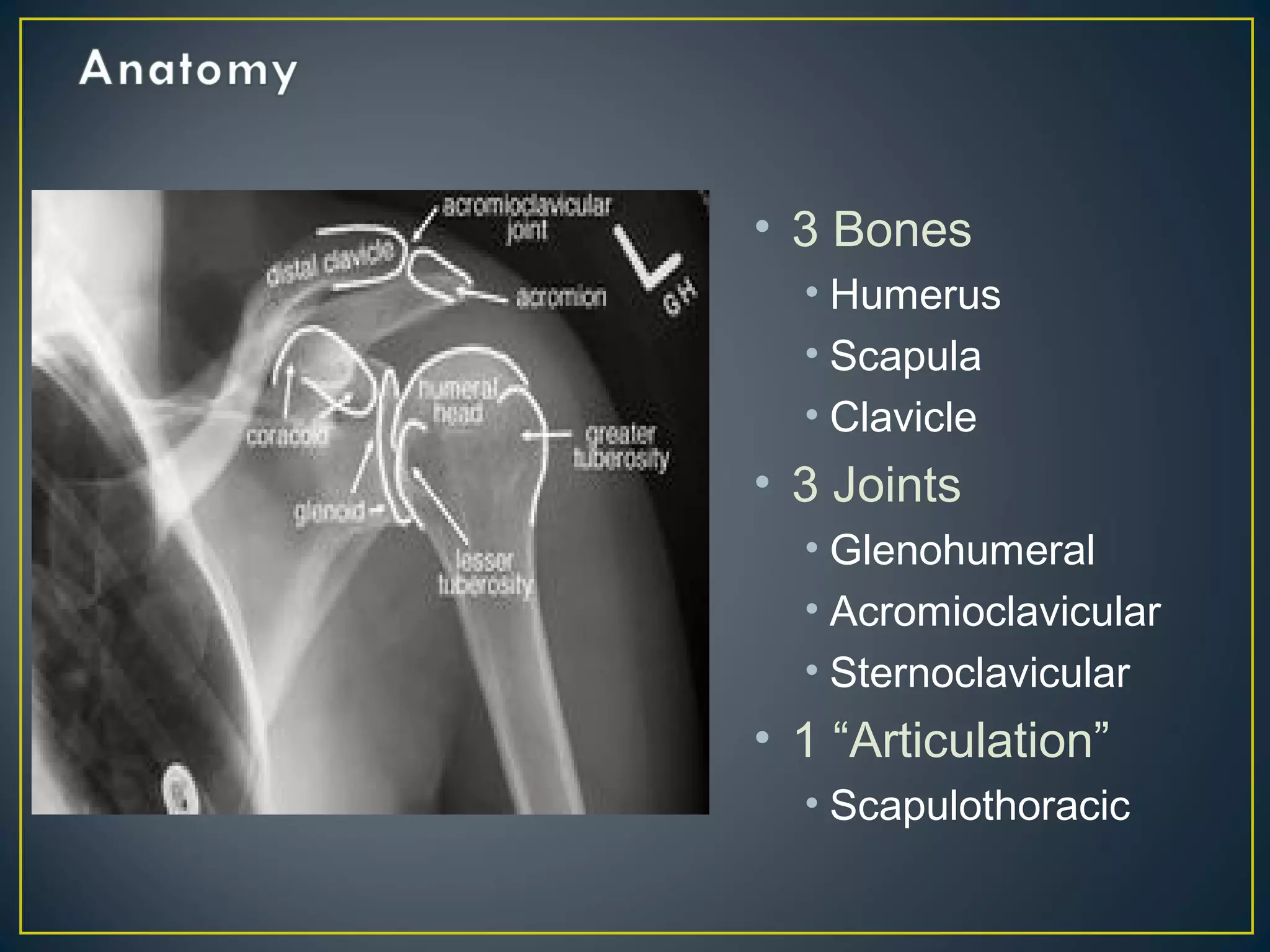 Clinical Examination Of Shoulder | PPT
