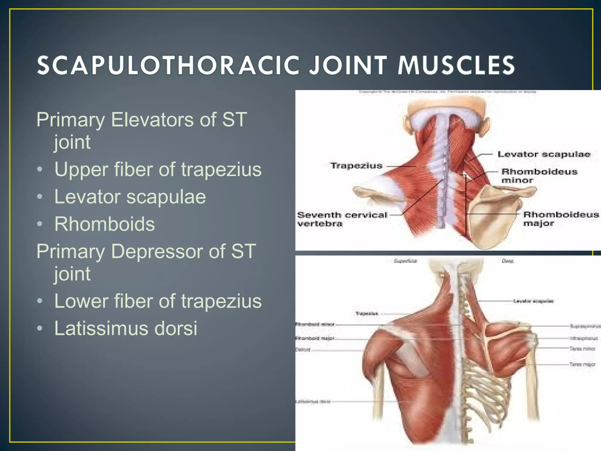 Clinical Examination Of Shoulder | PPT