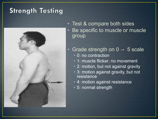 Clinical Examination Of Shoulder | PPT