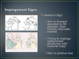 Clinical Examination Of Shoulder | PPT
