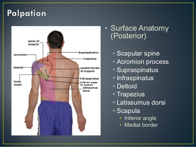 Clinical Examination Of Shoulder
