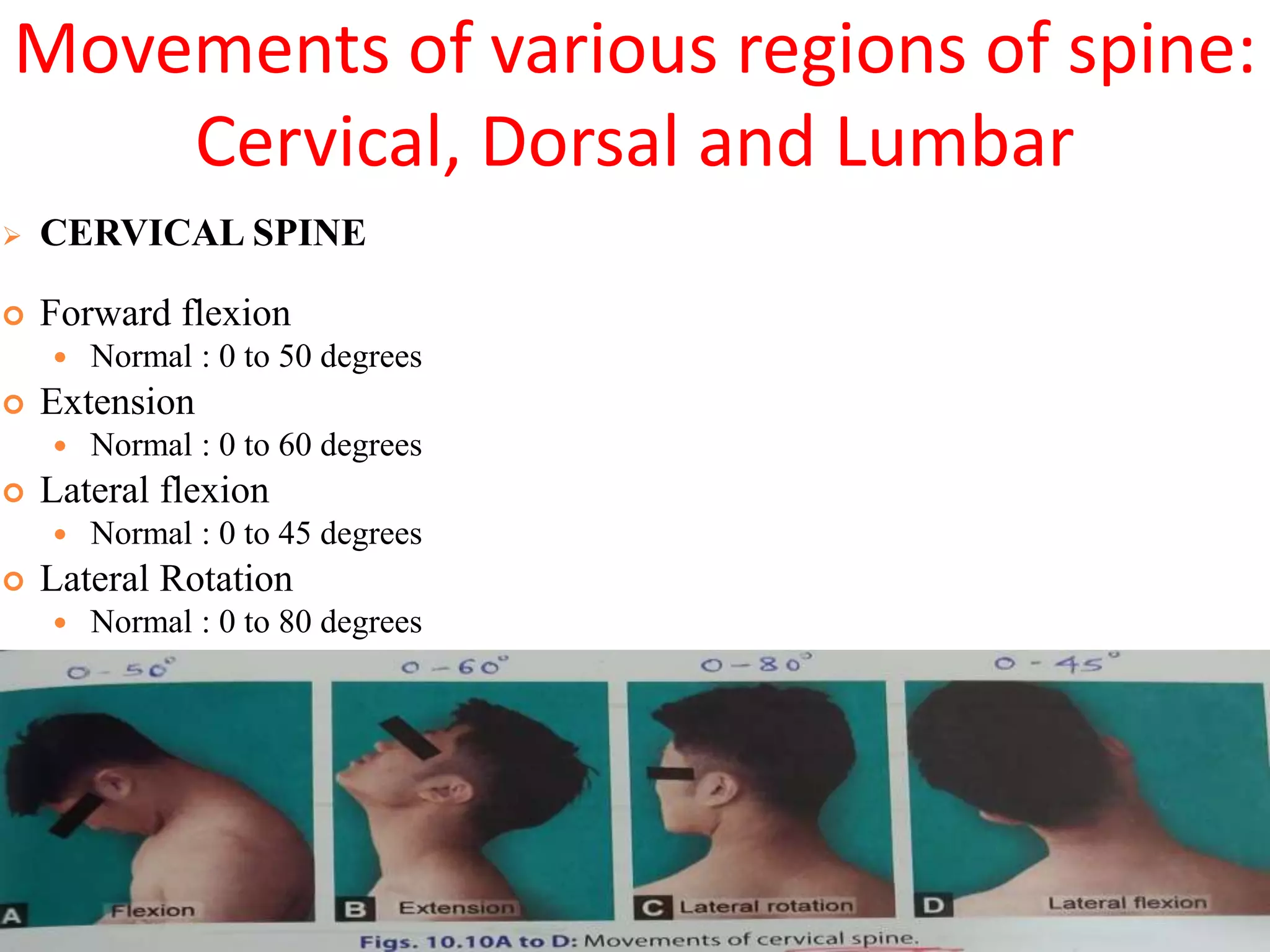 Clinical examination of spine | PPT