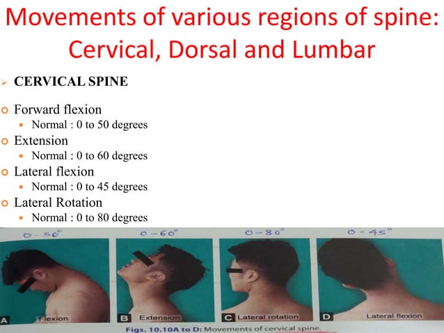 Clinical examination of spine | PPT