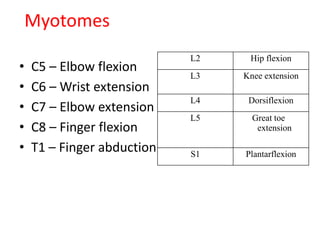 Clinical examination of spine | PPT