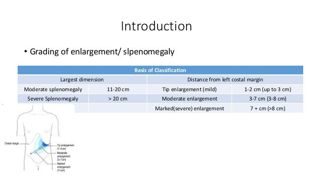 Clinical examination of spleen