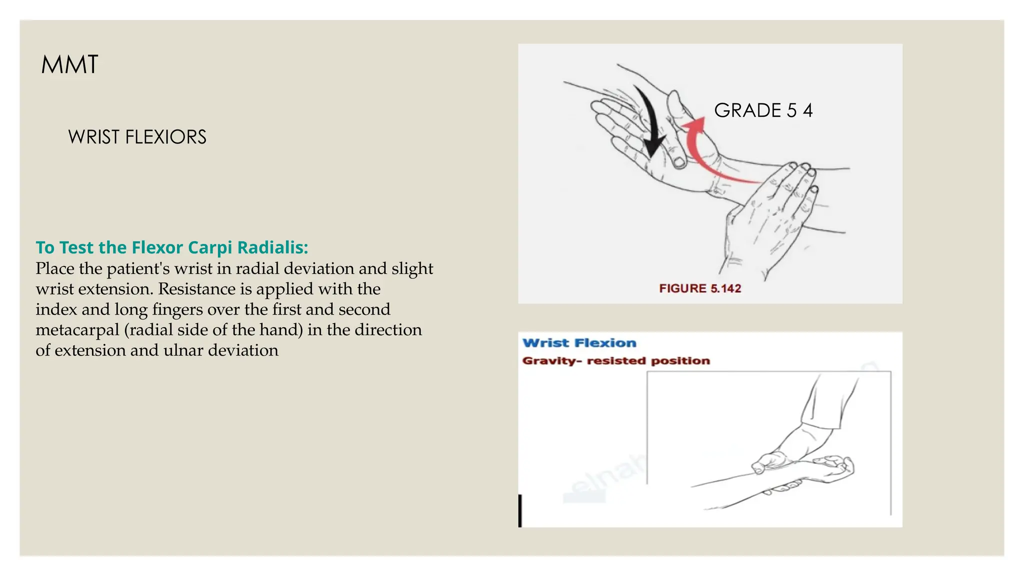 CLINICAL EXAMINATION OF THE HAND & WRIST JOINT. SLIDESHARE.pptx