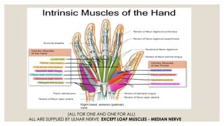 CLINICAL EXAMINATION OF THE HAND & WRIST JOINT. SLIDESHARE.pptx