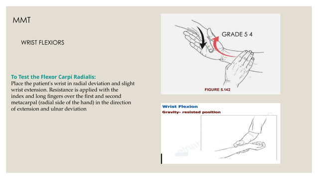 CLINICAL EXAMINATION OF THE HAND & WRIST JOINT. SLIDESHARE.pptx