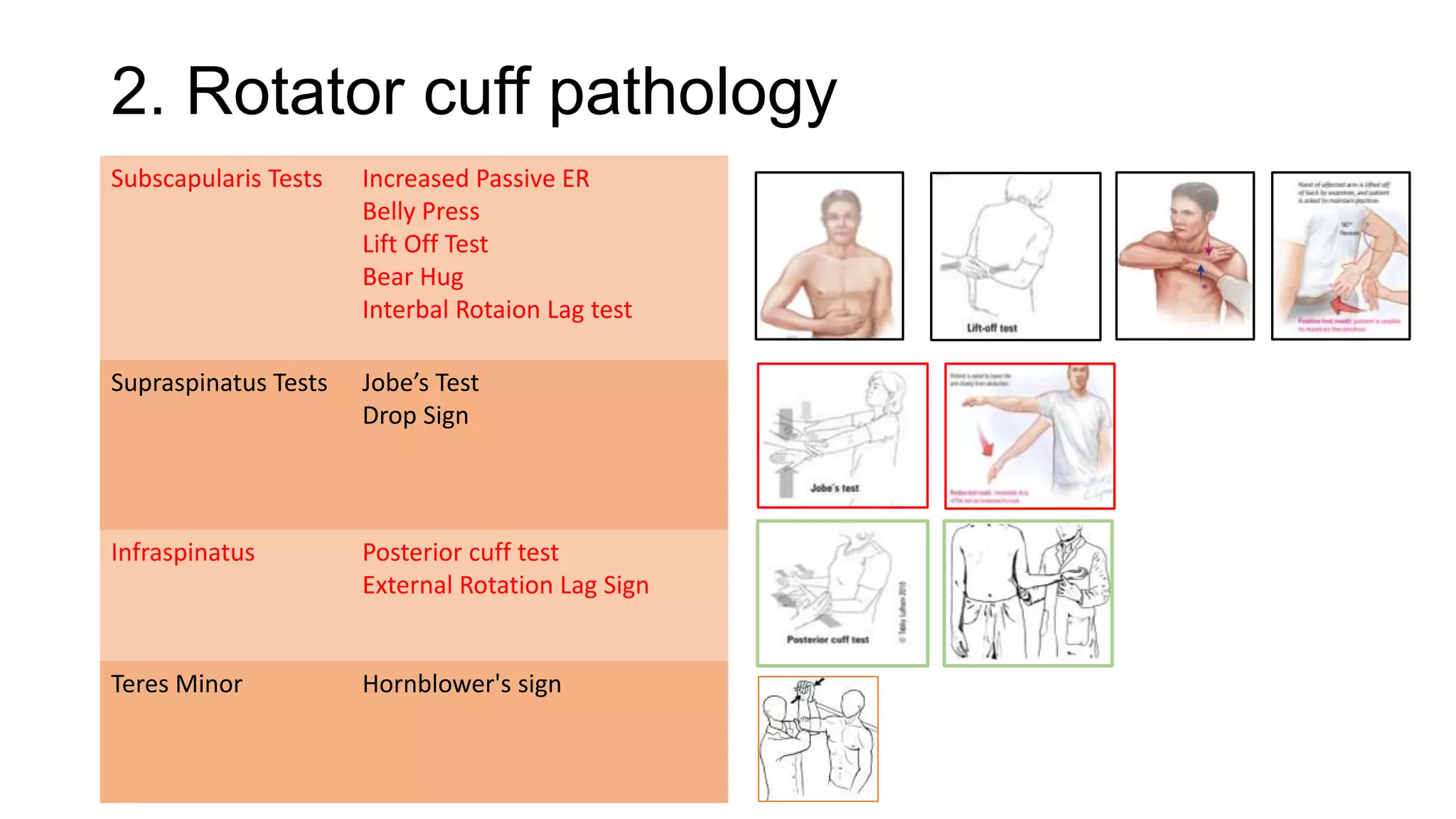 Clinical Examination of the Shoulder.pptx