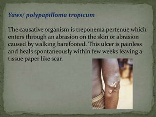 Clinical examination of ulcers | PPTX