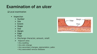 Clinical Examination Series.pptx