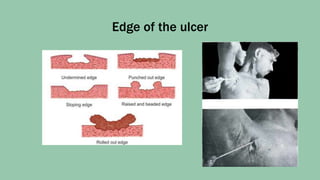 Clinical Examination Series.pptx