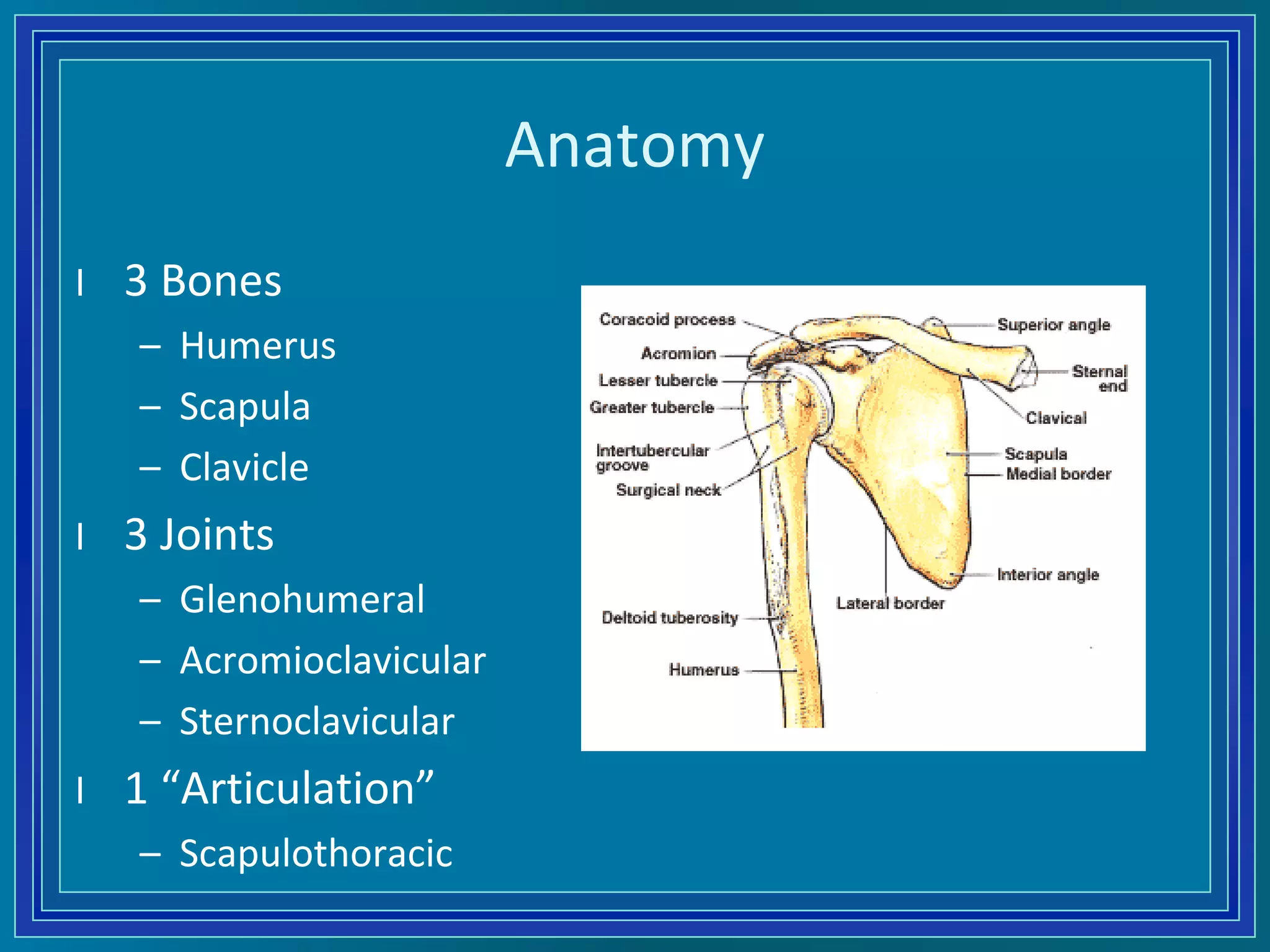 Clinical_Examination_Shoulder (2).ppt