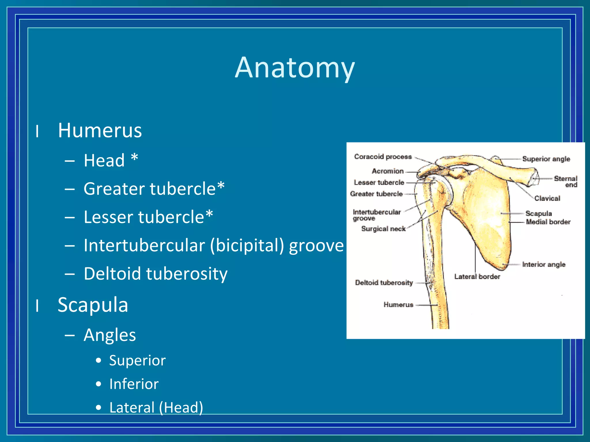 Clinical_Examination_Shoulder (2).ppt