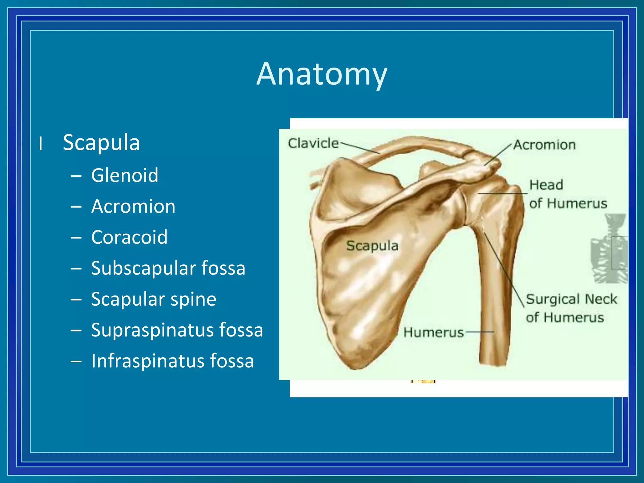 Clinical_Examination_Shoulder (2).ppt
