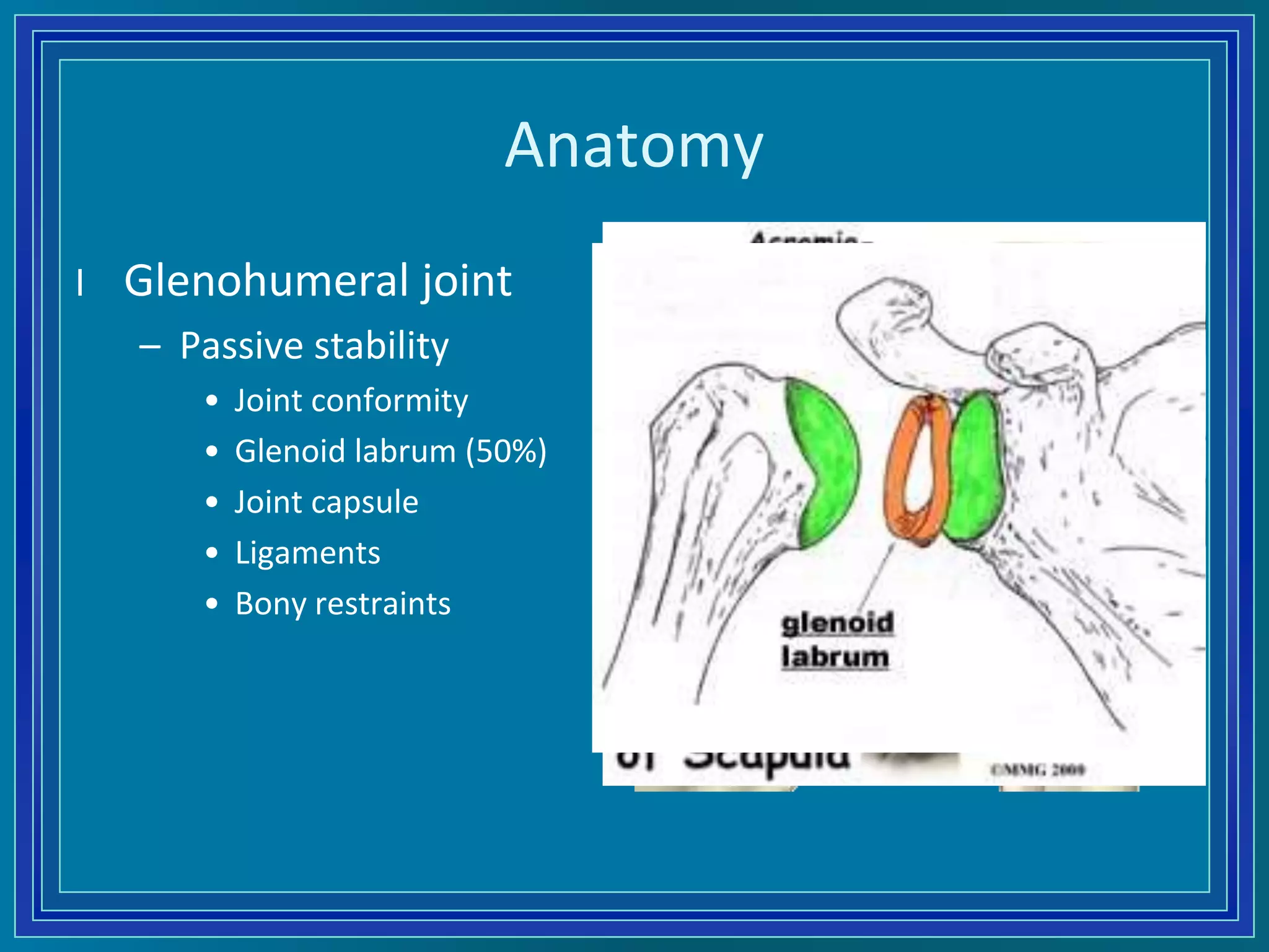 Clinical_Examination_Shoulder (2).ppt