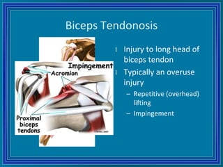 Clinical_Examination_Shoulder (2).ppt