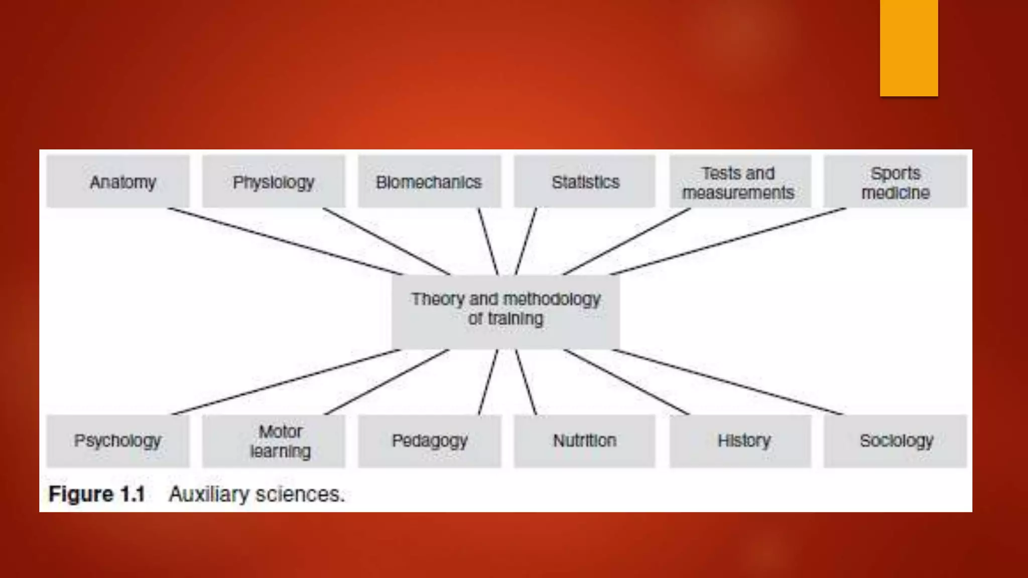 Clinical exercise physiology | PPTX