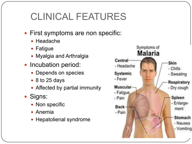 Malaria Clinical Features | PPTX