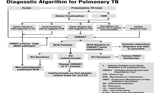 Clinical features and Diagnosis of TB.pptx | Free Download