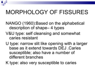 Clinical features and histopathology of dental caries | PPT