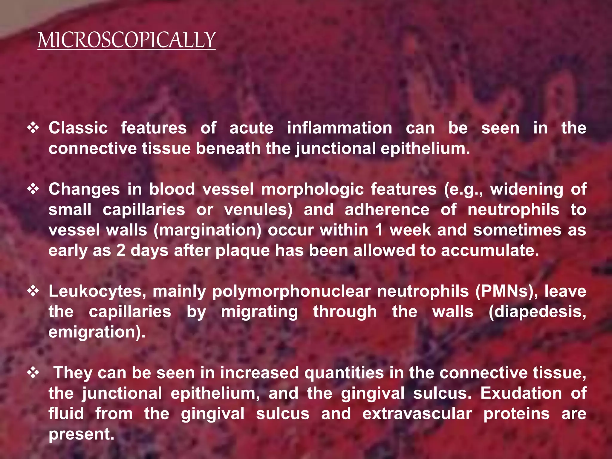Clinical features and stages of gingivitis | PPTX