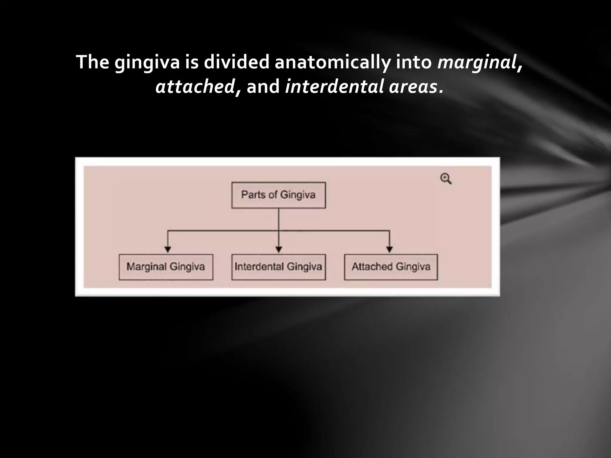 Clinical features and stages of gingivitis | PPTX