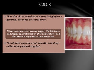 Clinical features and stages of gingivitis | PPTX