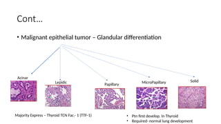 Classification, Histology and Clinical Features of Lung Cancer | PPTX