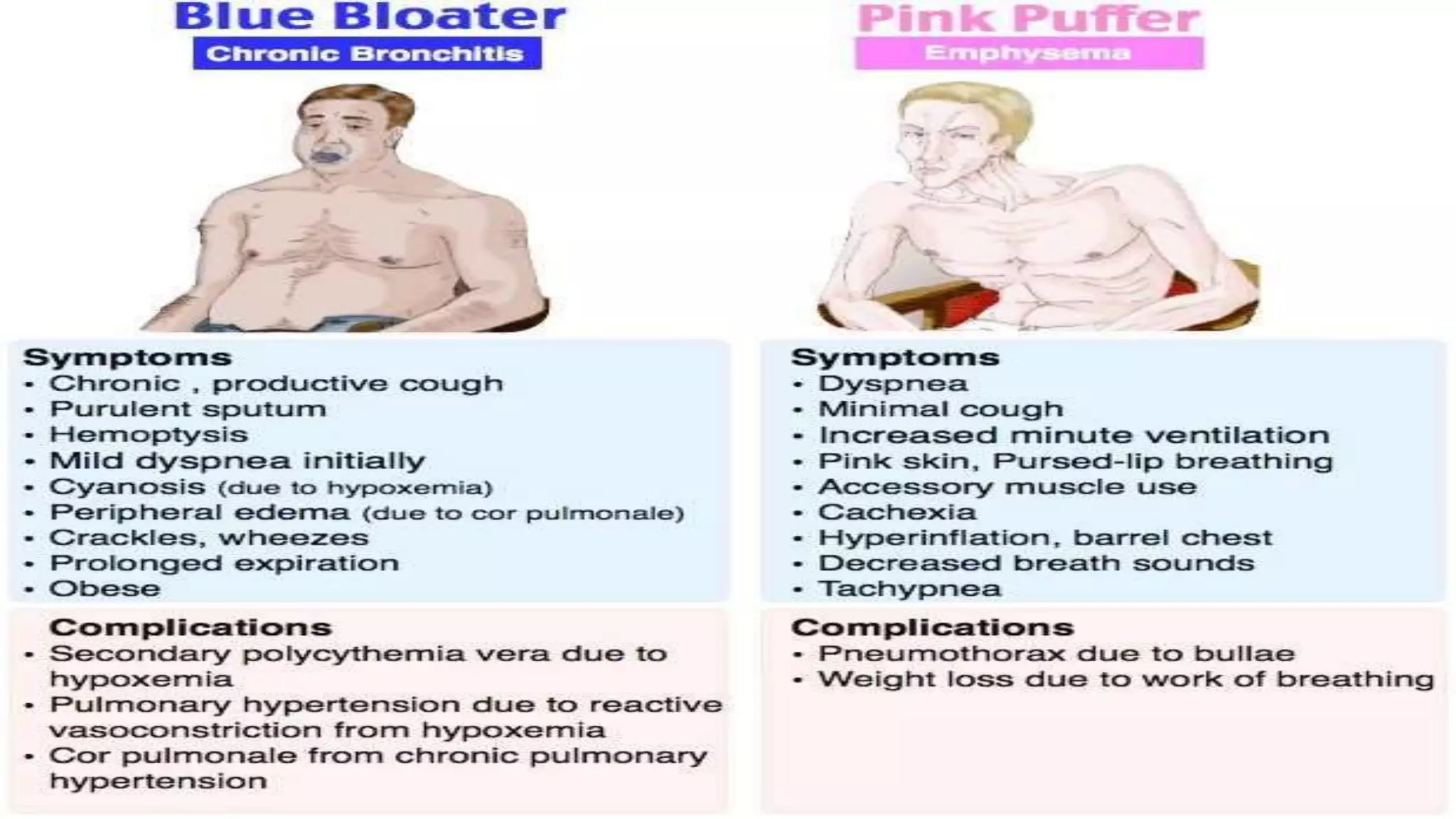 CLINICAL FEATURES OF COPD.pptx