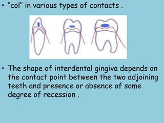Clinical features of gingiva | PPTX