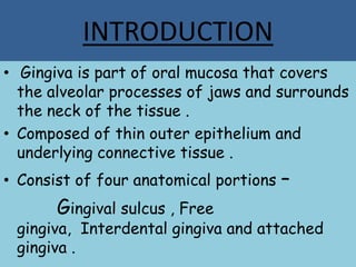 Clinical features of gingiva | PPTX