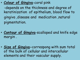Clinical features of gingiva | PPTX