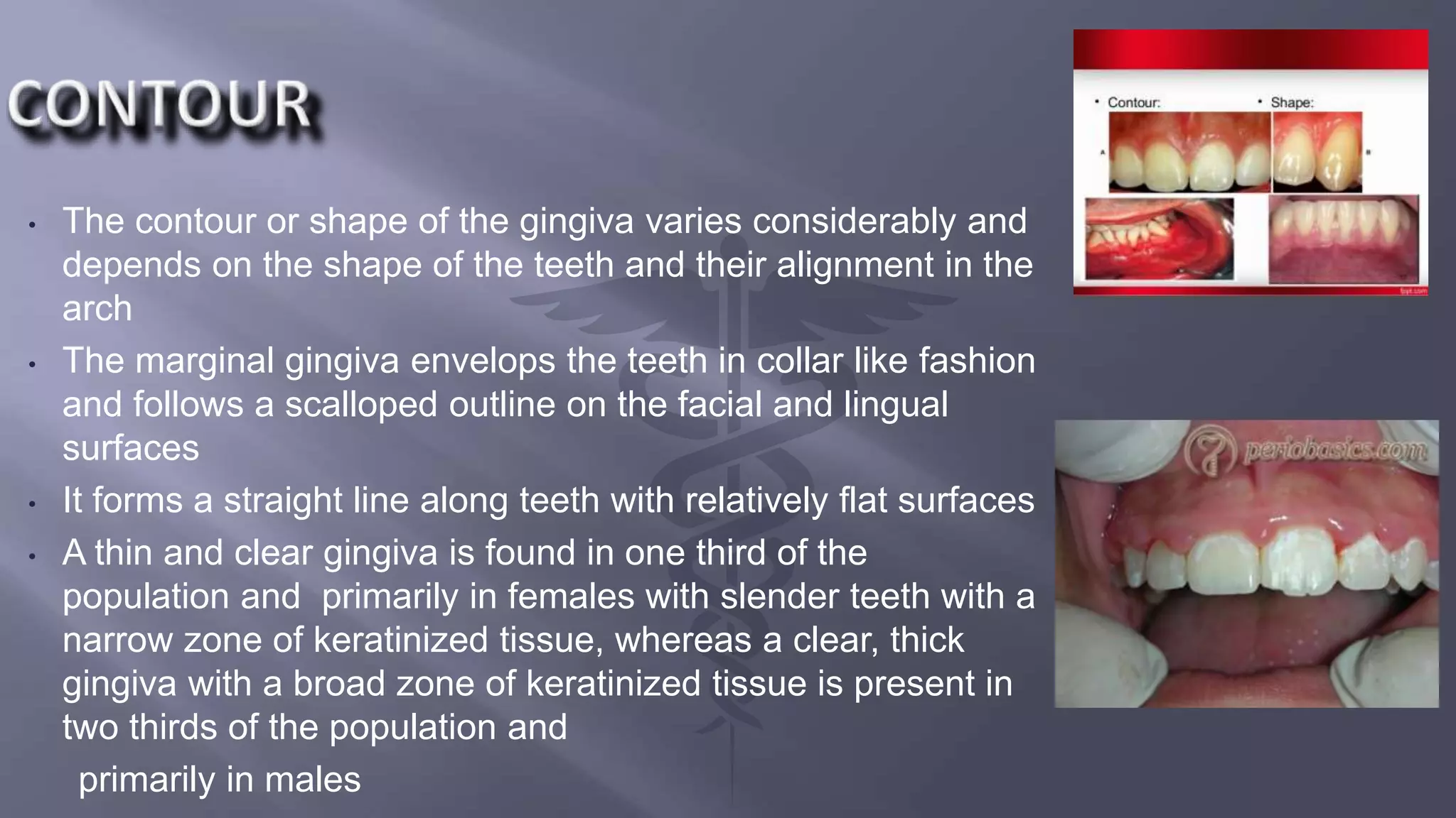 Clinical features of healthy gingiva | PPTX