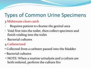 Clinical fluid analysis | PPT