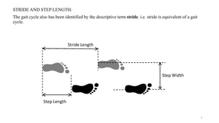 GAIT CYCLE & CLINICAL GAIT ANALYSIS | PDF