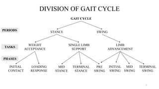 GAIT CYCLE & CLINICAL GAIT ANALYSIS | PDF