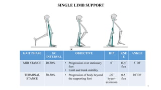 GAIT CYCLE & CLINICAL GAIT ANALYSIS | PDF