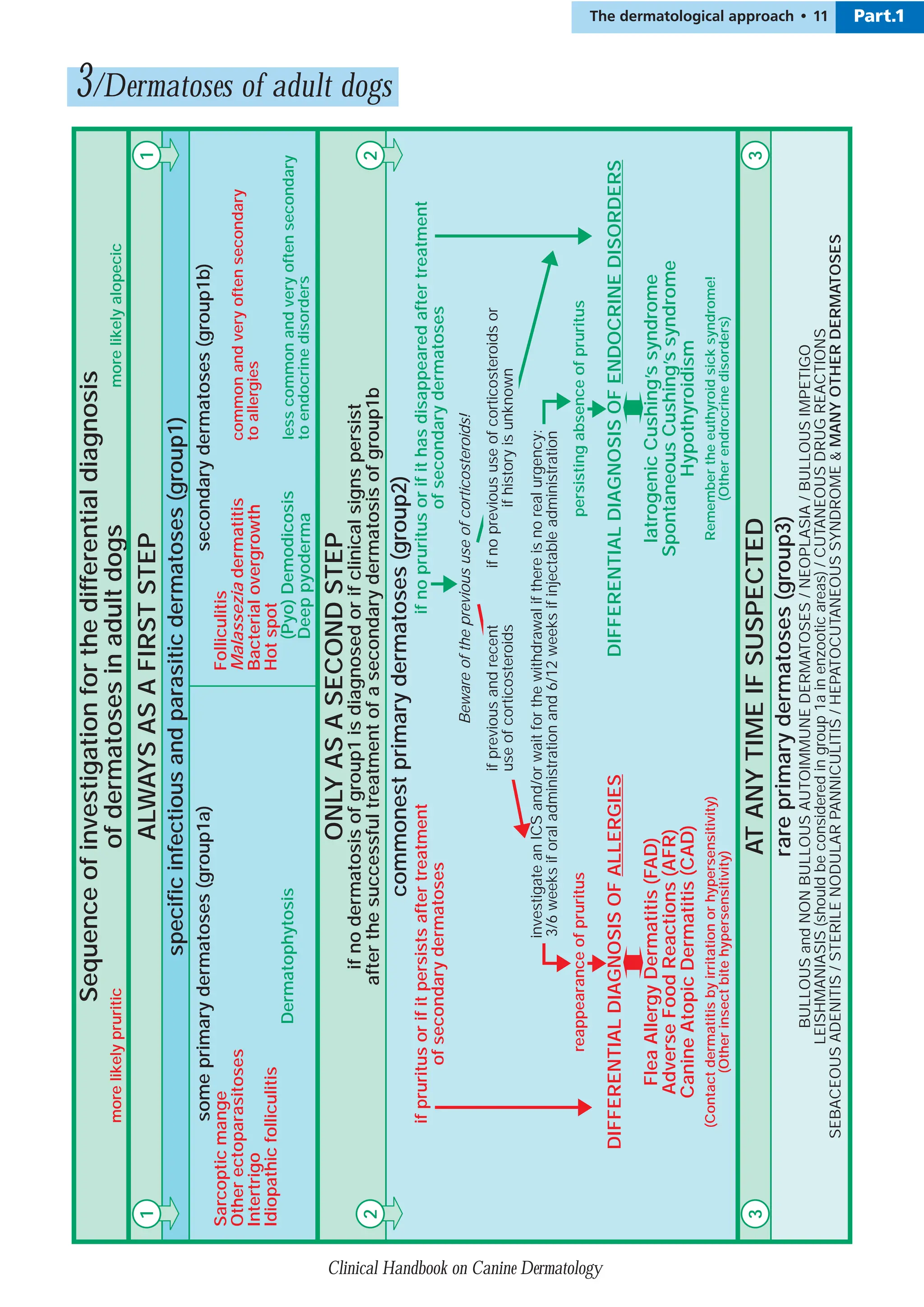 Clinical_Handbook_on_Canine_Dermatology.pdf