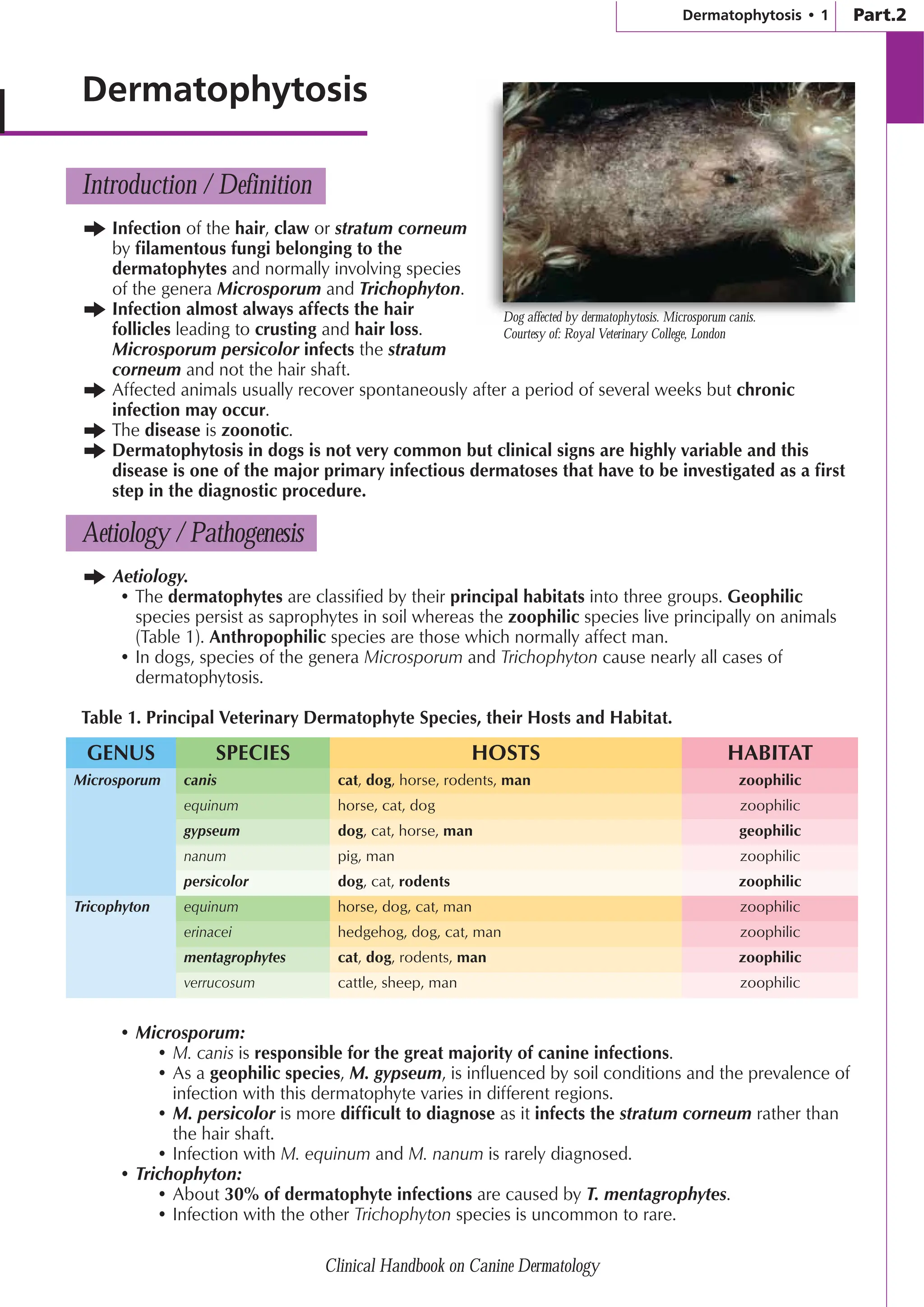 Clinical_Handbook_on_Canine_Dermatology.pdf