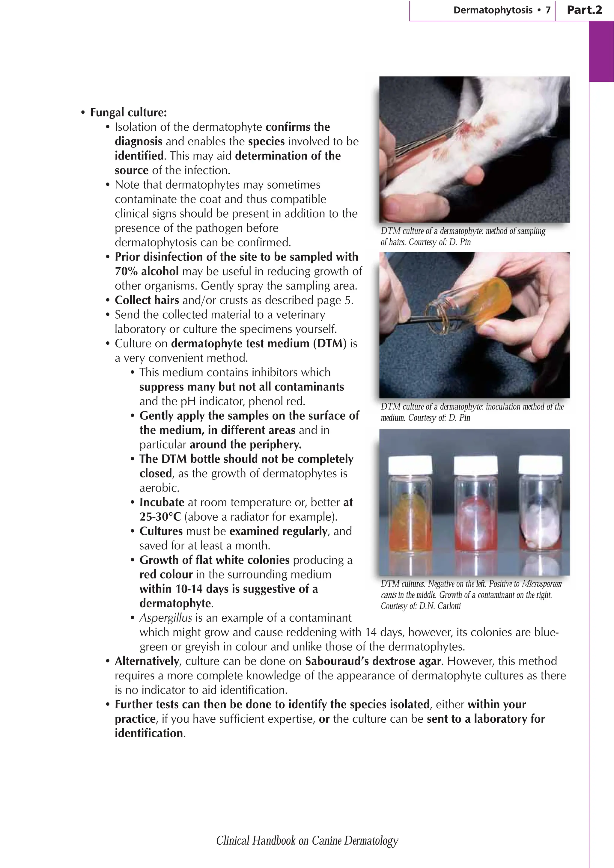 Clinical_Handbook_on_Canine_Dermatology.pdf