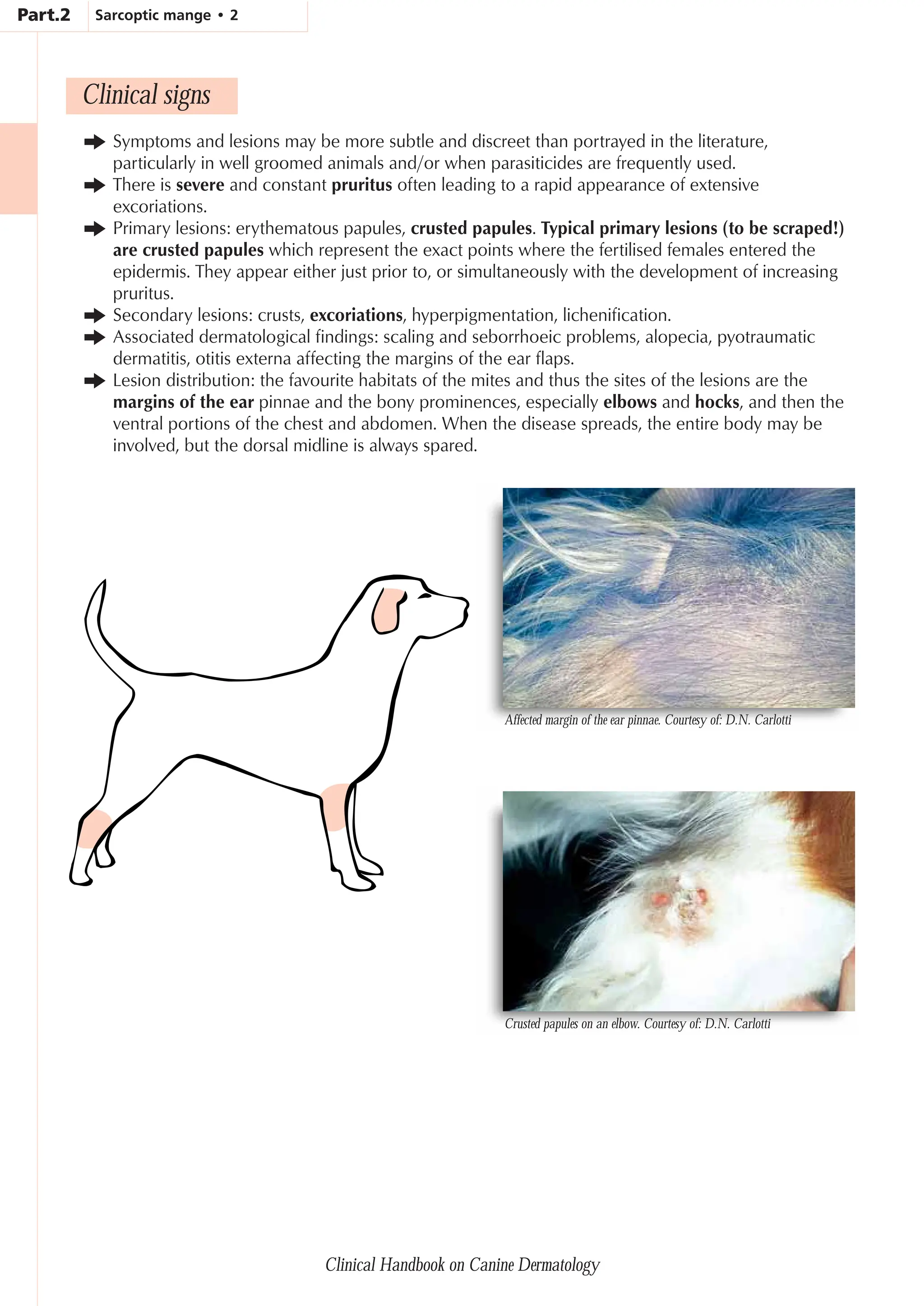 Clinical_Handbook_on_Canine_Dermatology.pdf