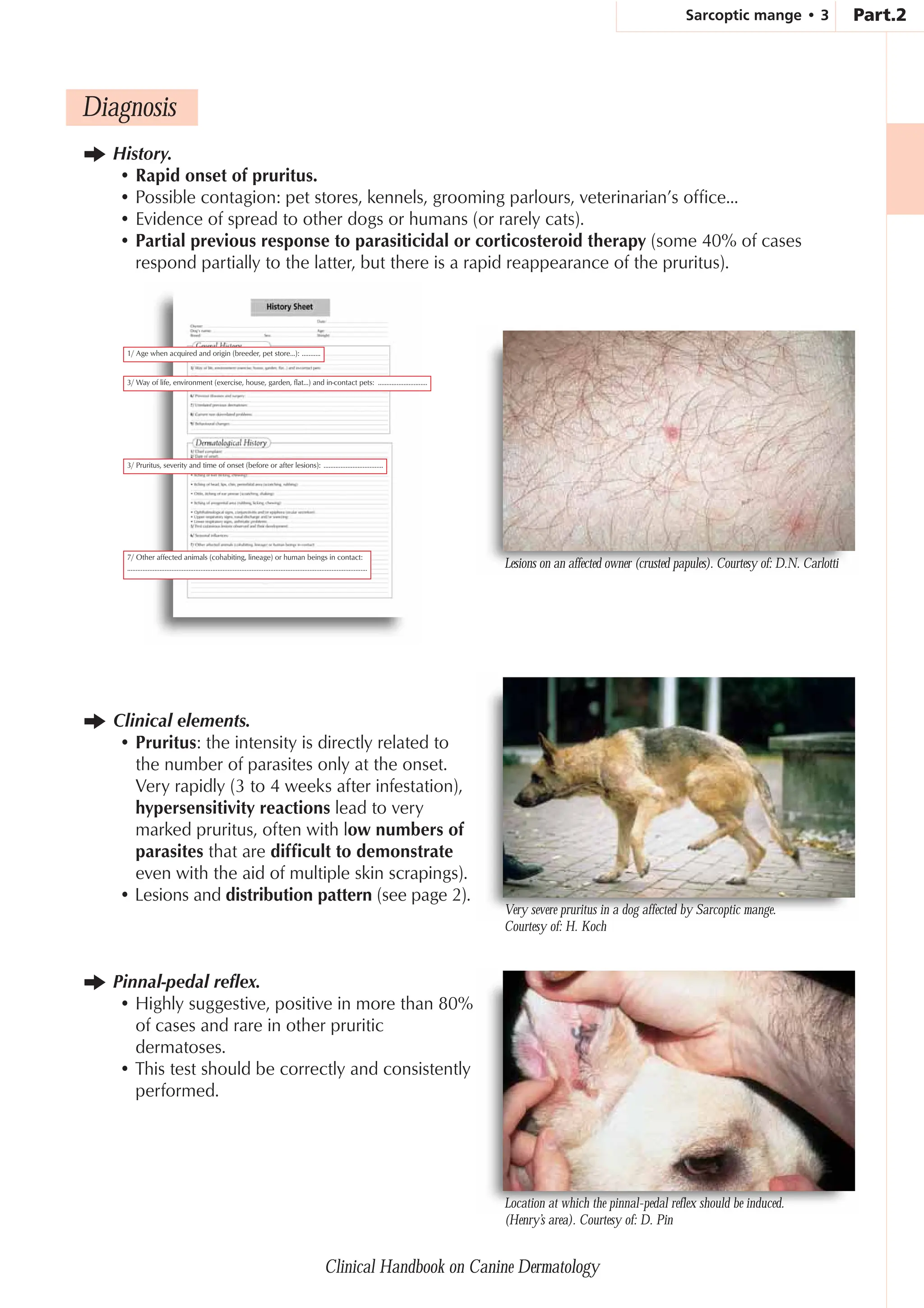 Clinical_Handbook_on_Canine_Dermatology.pdf