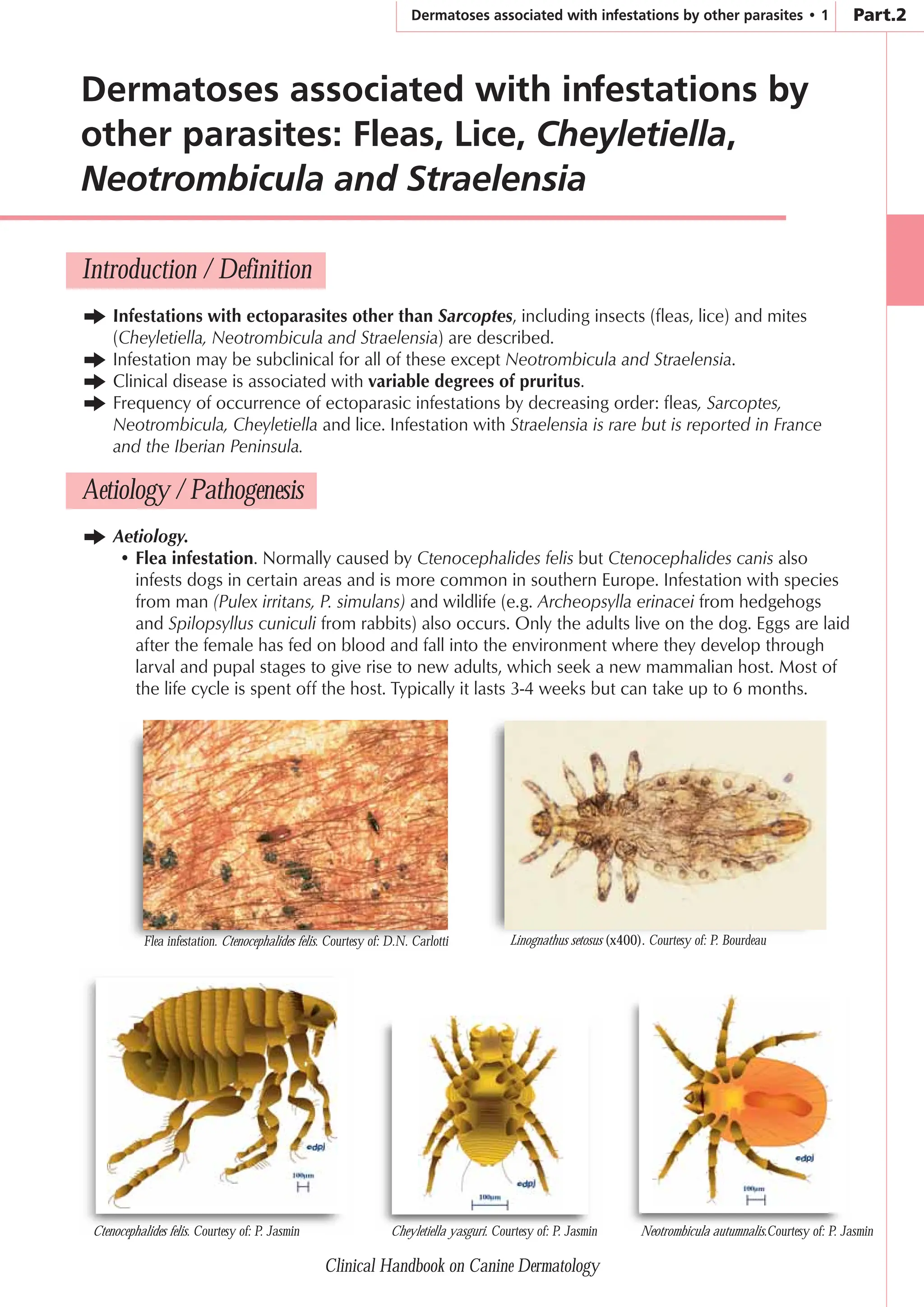 Clinical_Handbook_on_Canine_Dermatology.pdf