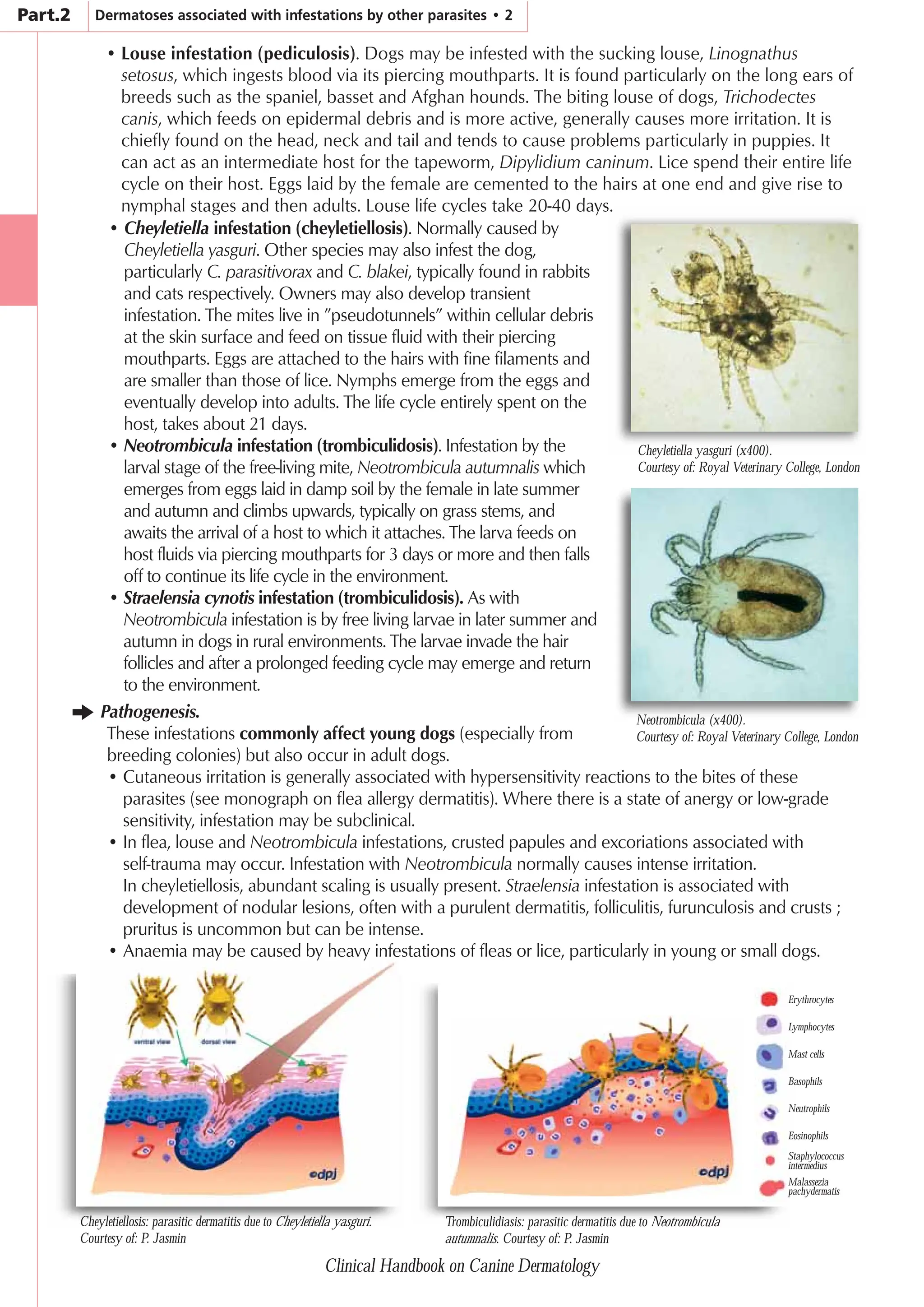 Clinical_Handbook_on_Canine_Dermatology.pdf