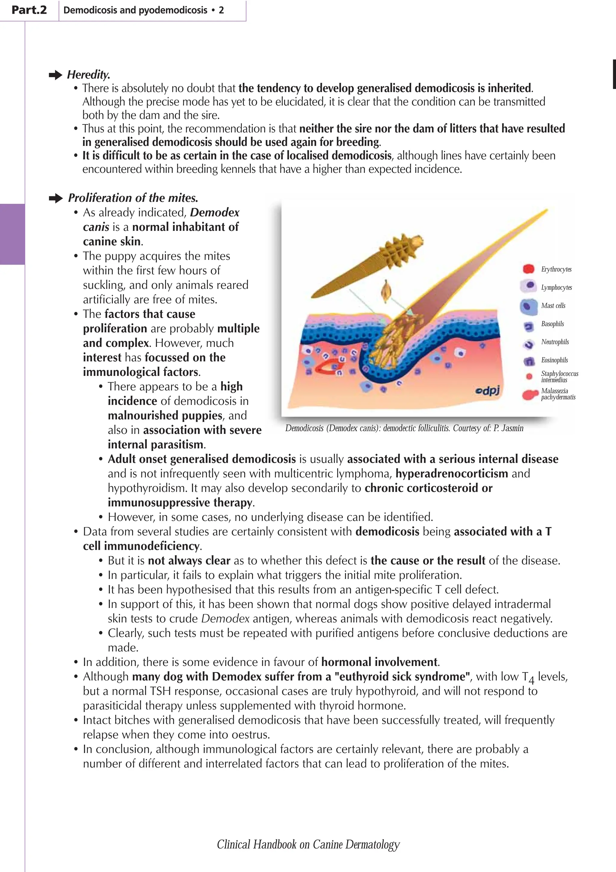 Clinical_Handbook_on_Canine_Dermatology.pdf
